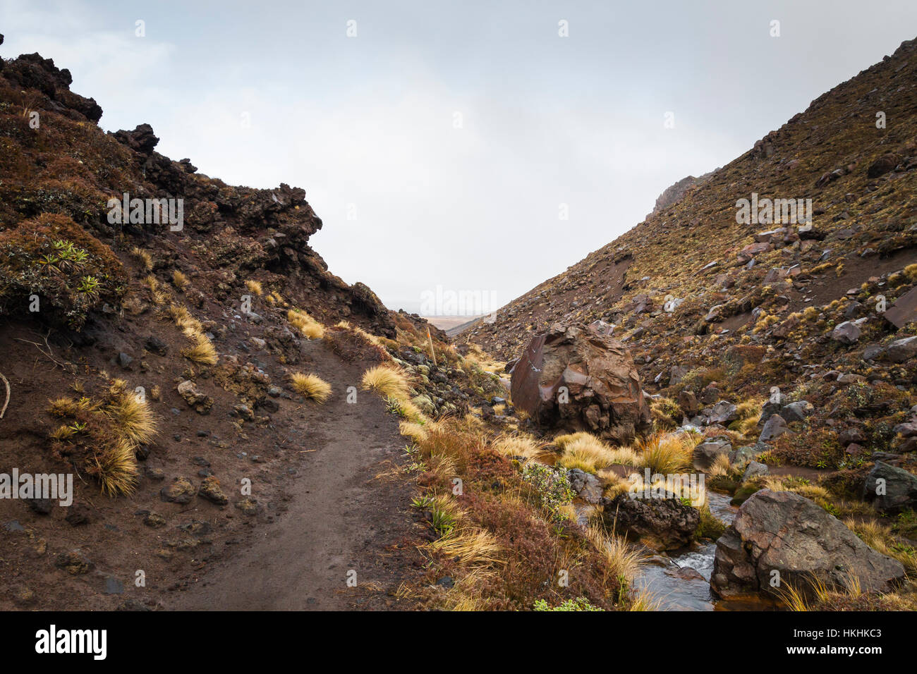 Ngauruhoe volcano (2291mt), Tongariro national park, North island, New ...