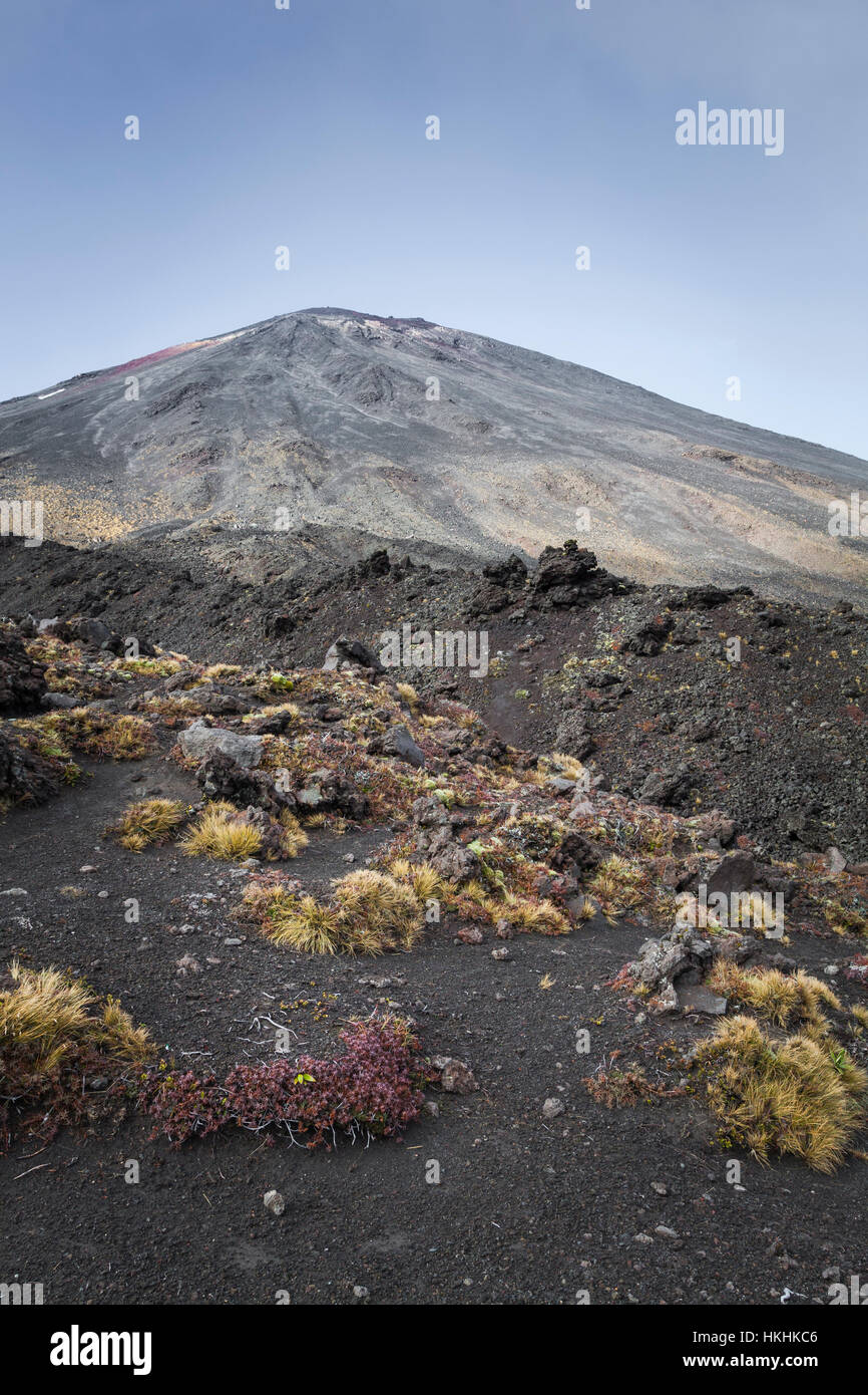 Ngauruhoe volcano (2291mt), Tongariro national park, North island, New ...