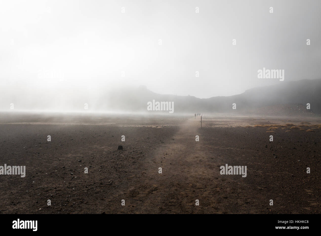 Ngauruhoe volcano (2291mt), Tongariro national park, North island, New ...
