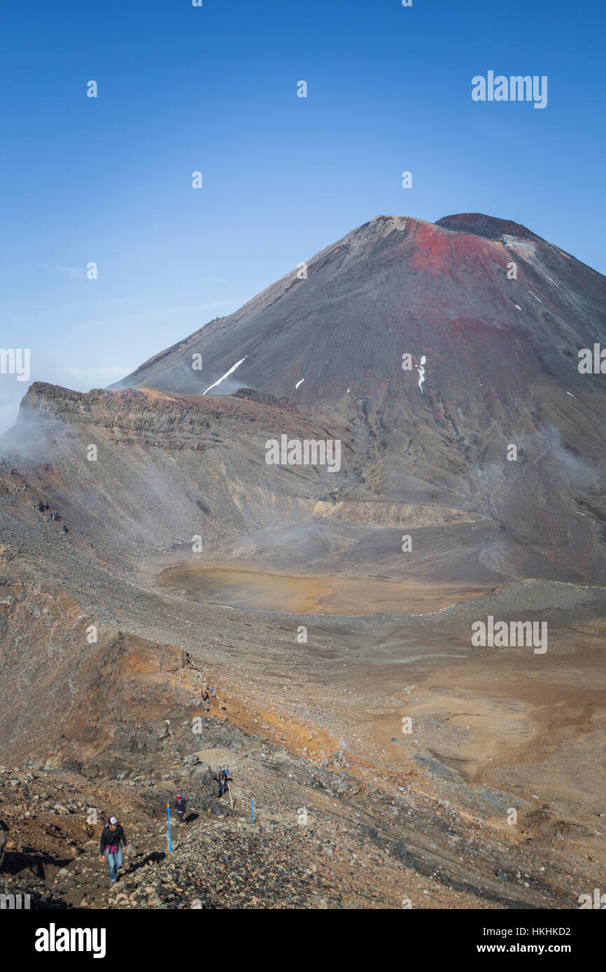 Ngauruhoe volcano (2291mt), Tongariro national park, North island, New ...