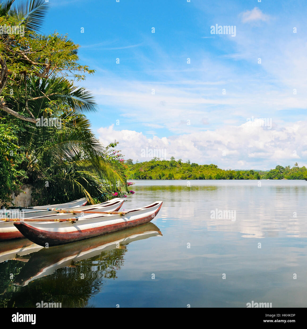 Rainforest lake view trees clouds hi-res stock photography and images ...