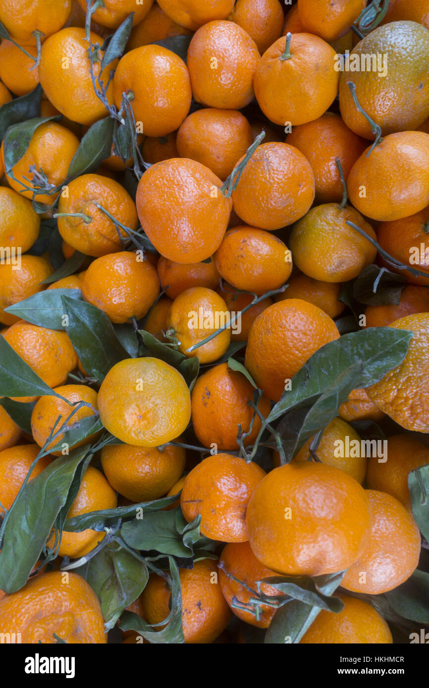 Tangerines for sale at a local market in NYC Stock Photo - Alamy