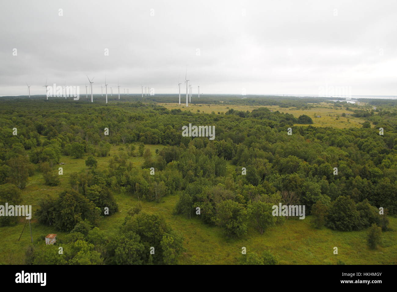 Wind farm in a green environment Stock Photo - Alamy