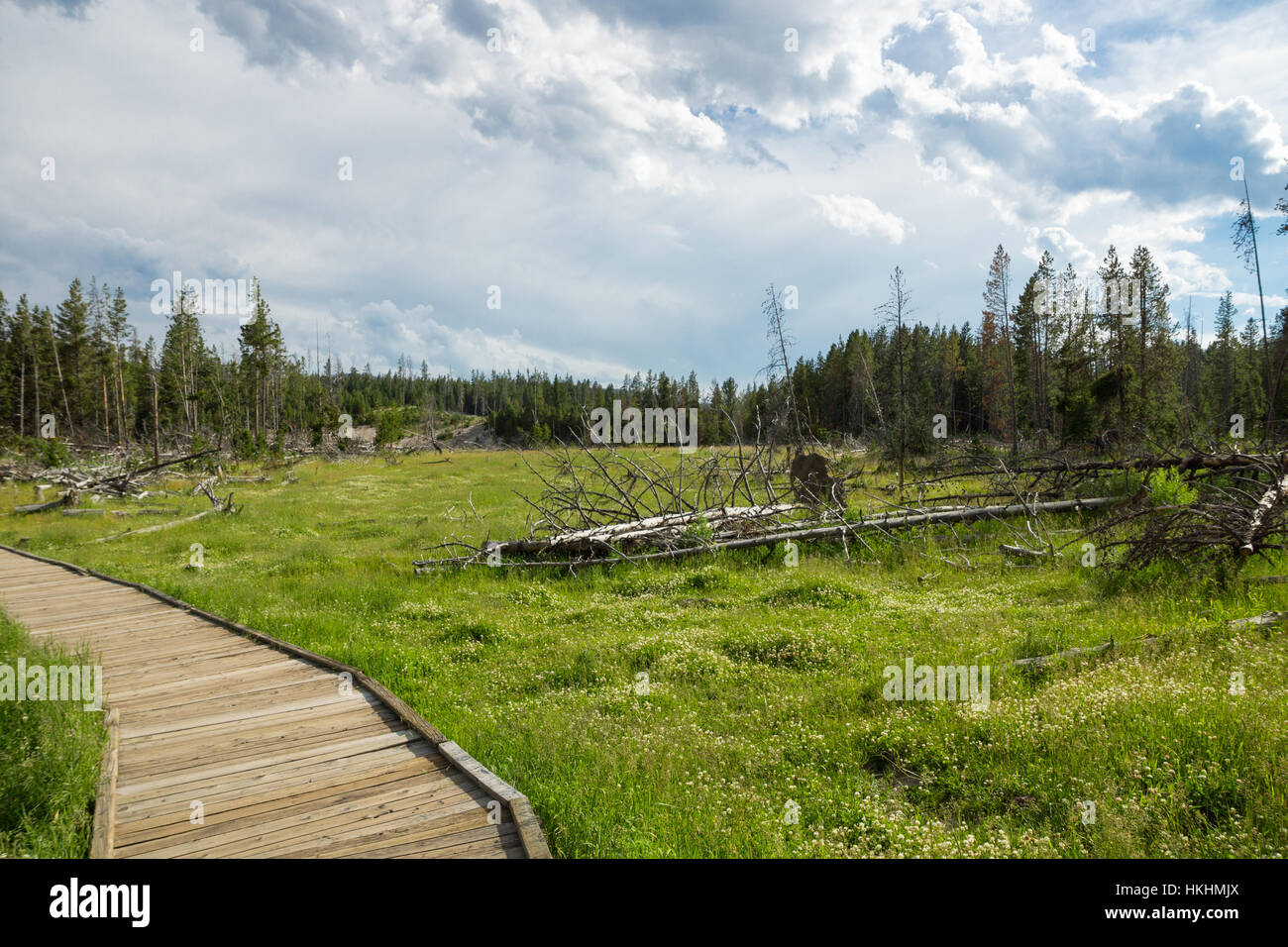 Mud Volcano Area, Yellowstone National Park, Wyoming, USA Stock Photo ...