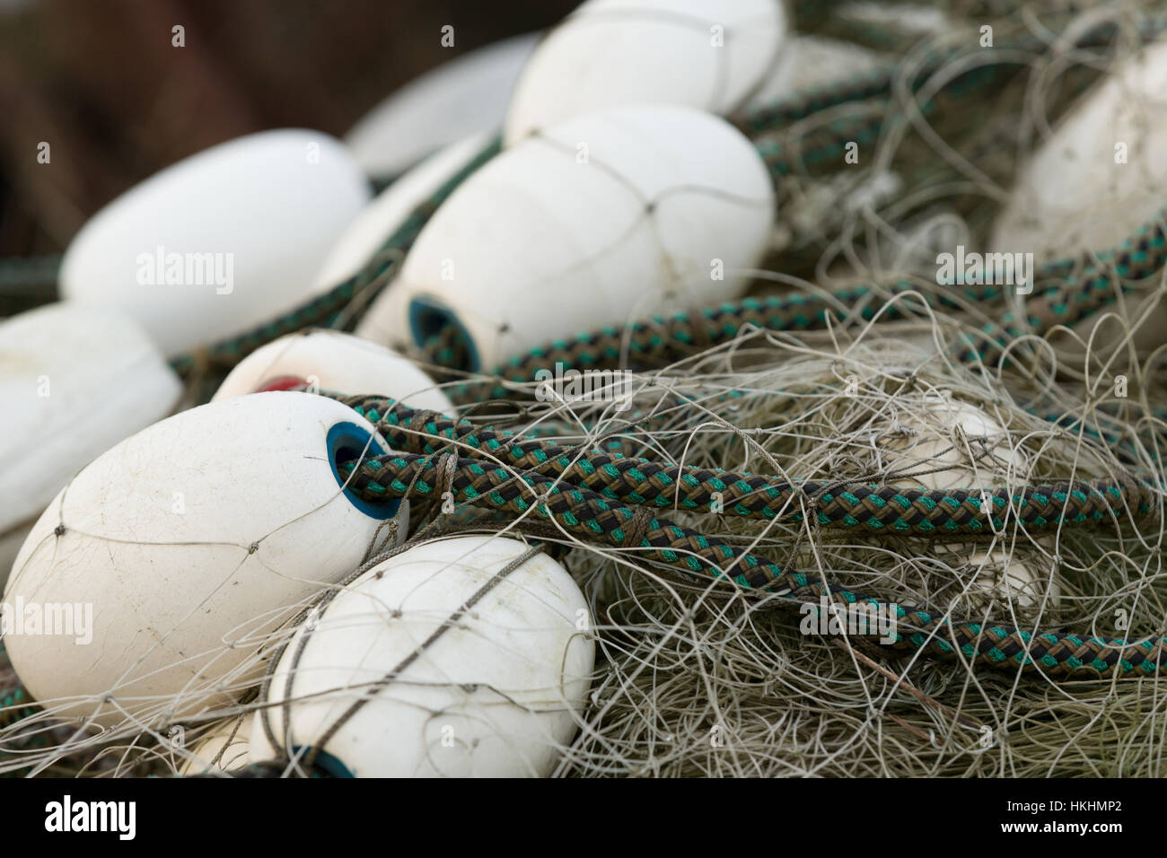 Net of fish Stock Photo - Alamy