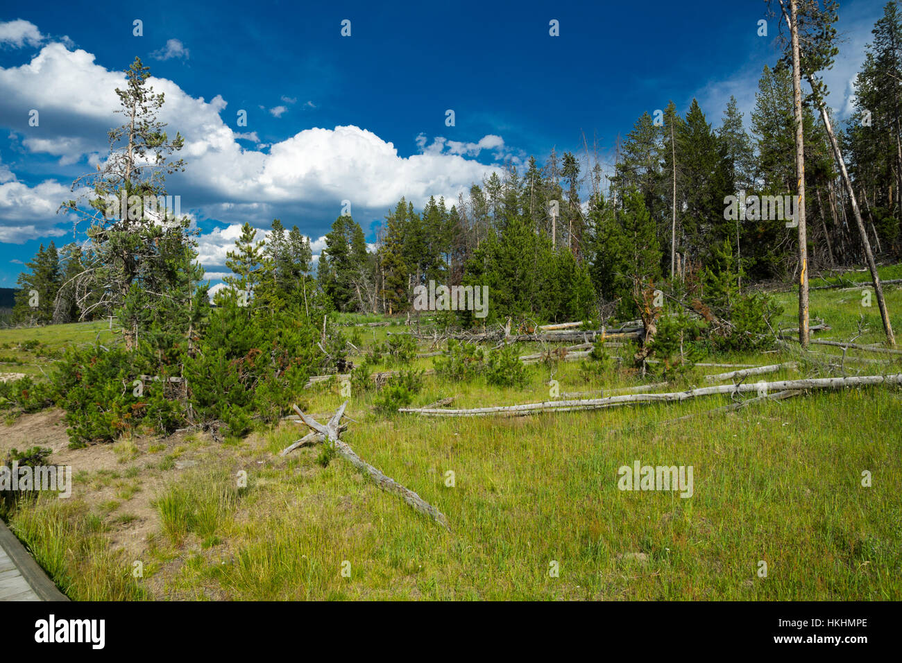 Mud Volcano Area, Yellowstone National Park, Wyoming, USA Stock Photo ...