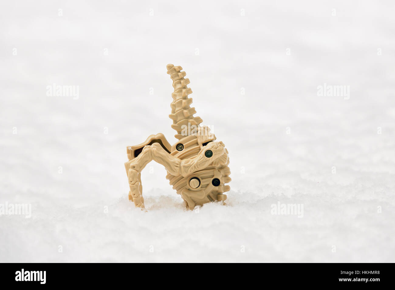 Extinct snow hi-res stock photography and images - Alamy