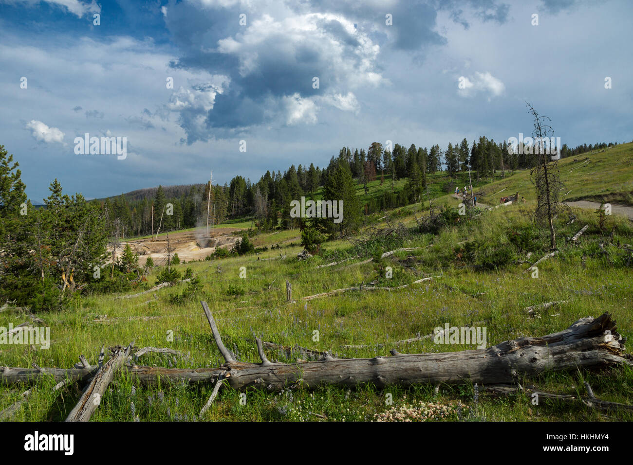 Mud Volcano Area, Yellowstone National Park, Wyoming, USA Stock Photo ...