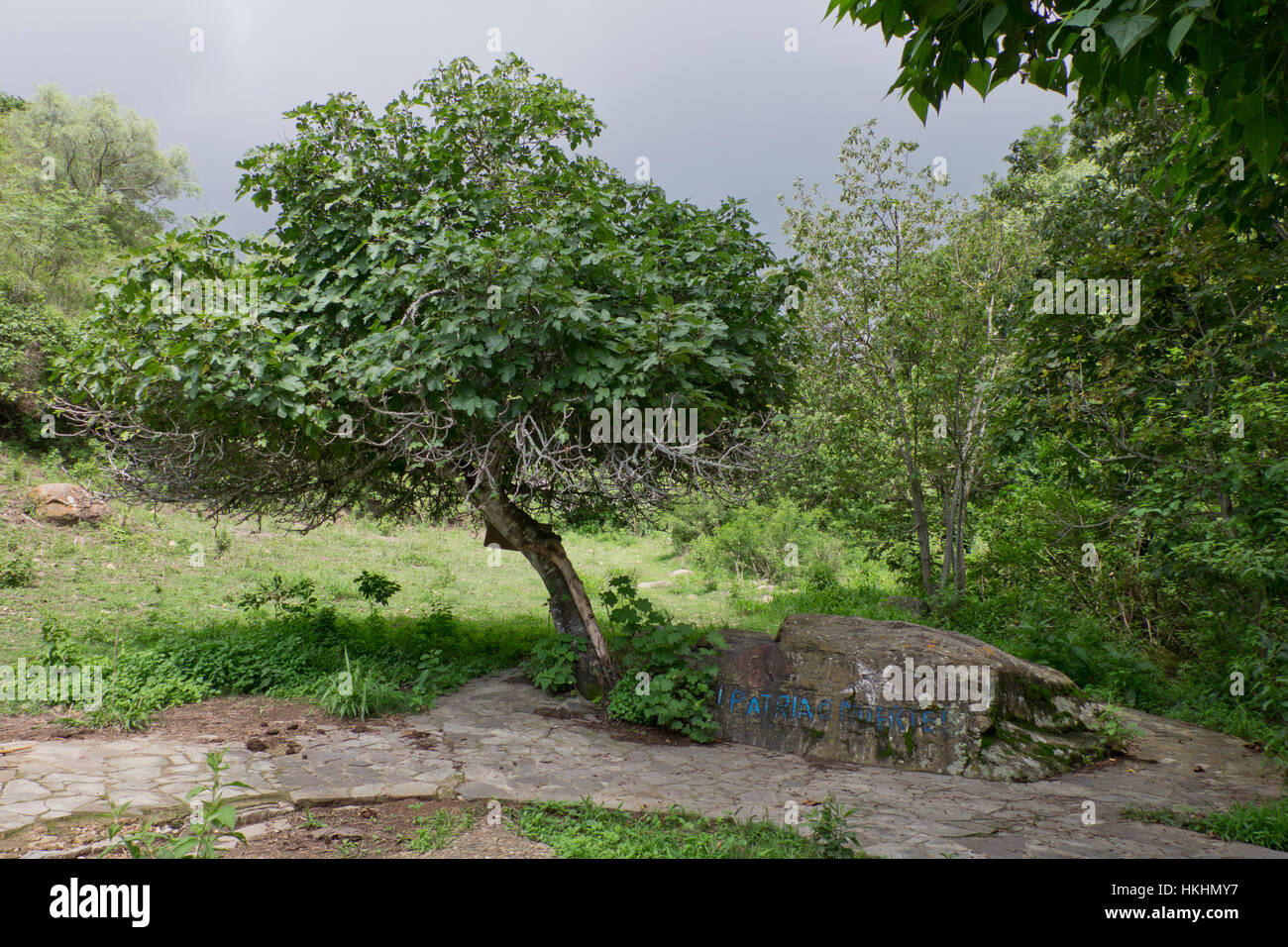 Che Guevara trail in La Higuera, Bolivia. The Yuro (or Churo) ravine ...