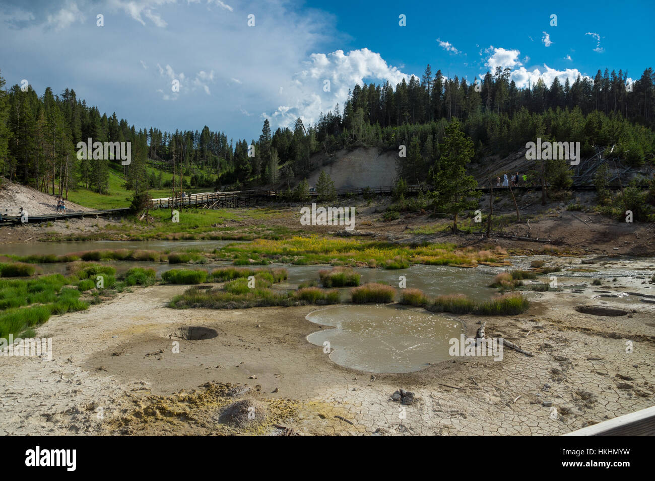 Mud Volcano Area, Yellowstone National Park, Wyoming, USA Stock Photo ...