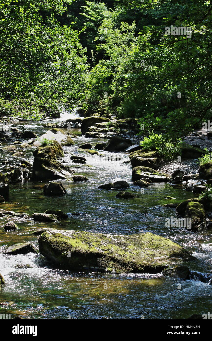 Waterfalls at Watersmeet where the East Lyn River Stock Photo - Alamy