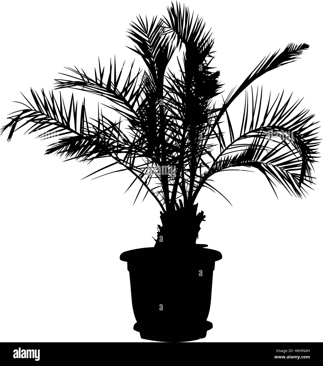 illustration of a potted palm tree isolated Stock Vector Image & Art ...