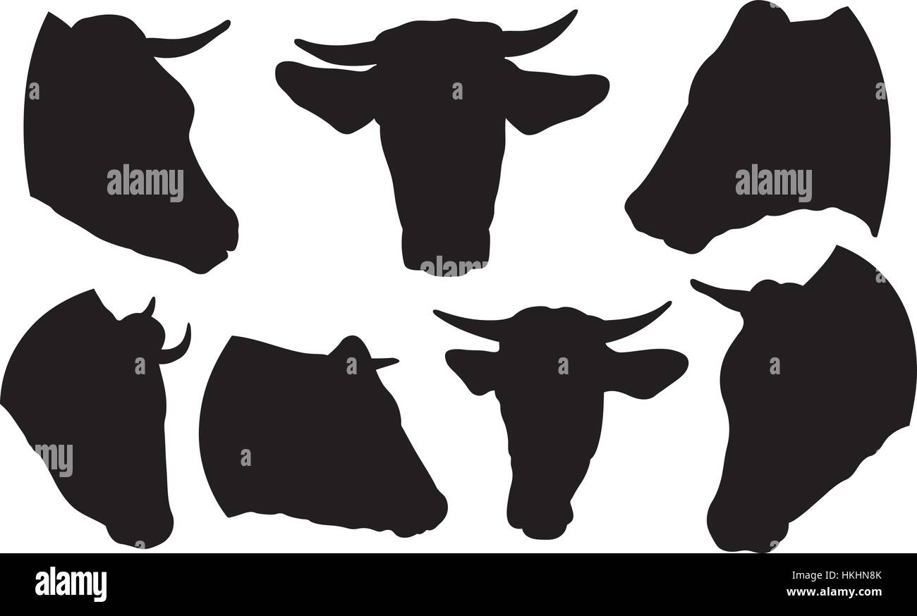 set of cow heads isolated Stock Vector Image & Art - Alamy
