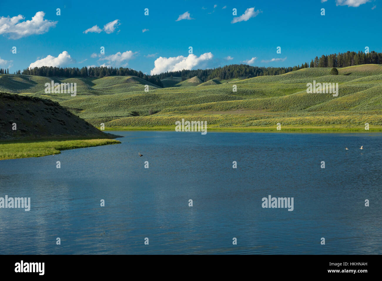 Hayden Valley, Yellowstone National Park, Wyoming, USA Stock Photo - Alamy
