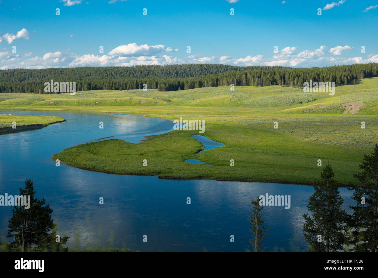 Hayden Valley, Yellowstone National Park, Wyoming, USA Stock Photo - Alamy