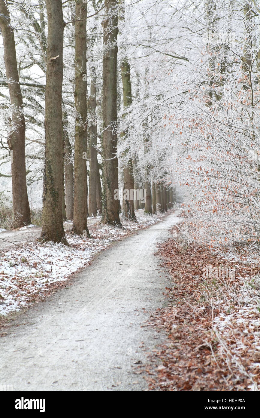 Frosted bike hi-res stock photography and images - Alamy