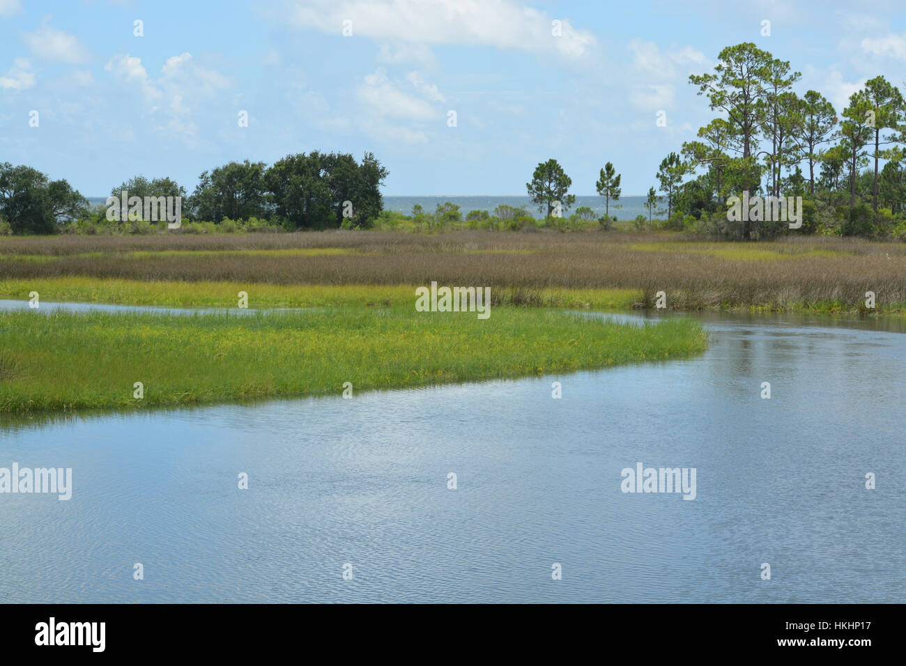 River flowing through a meadow to St George Sound, Florida Stock Photo ...