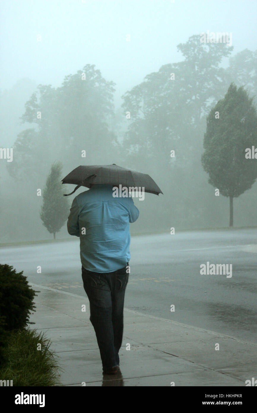 Man with umbrella walking in the rain Stock Photo - Alamy