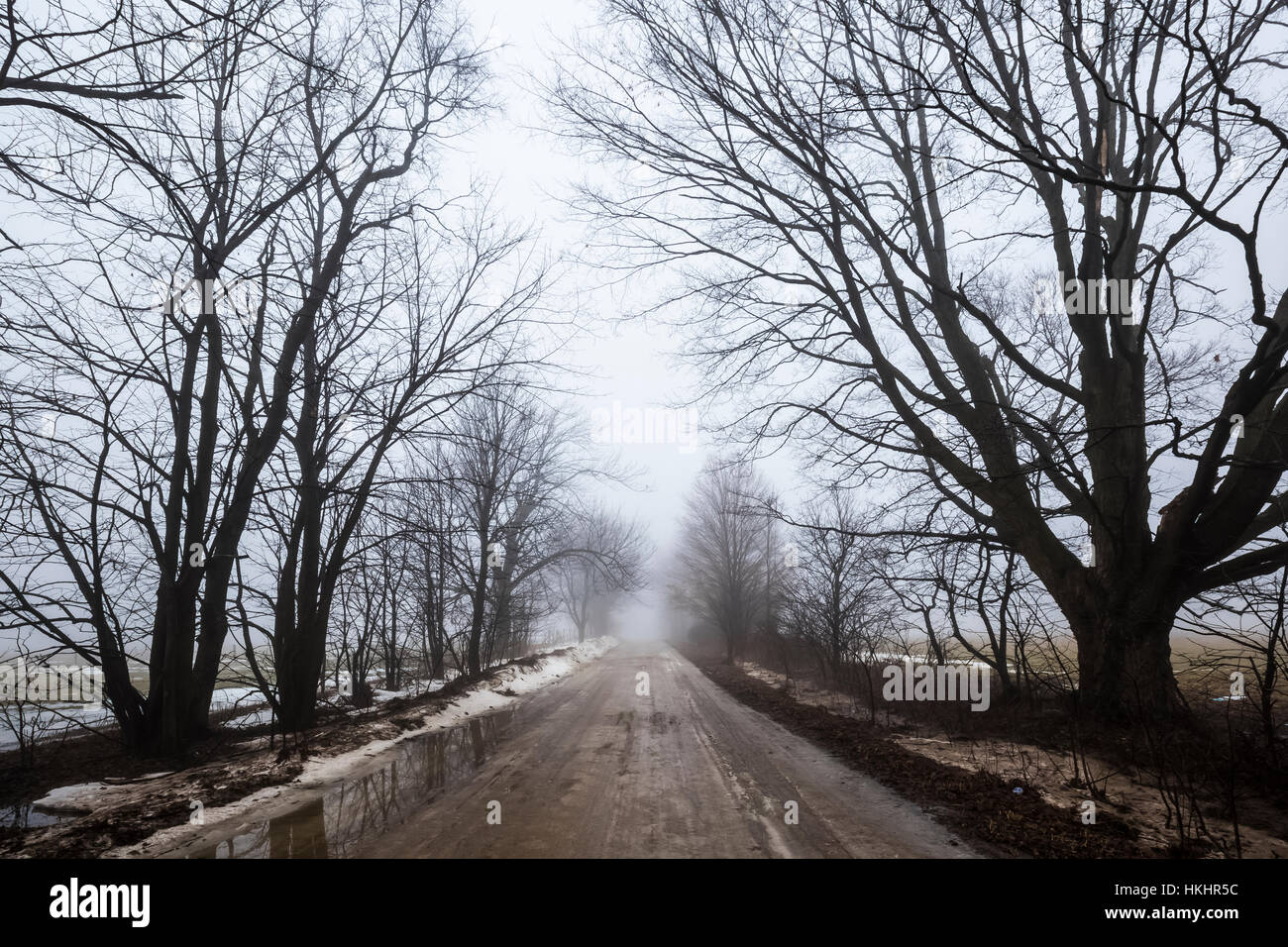 Icy country road during a January thaw in central Michigan, USA Stock ...