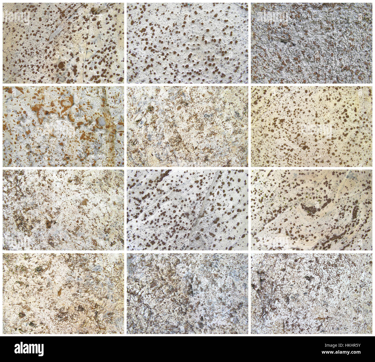Twelve Natural Limestone Background or textures. The real color ...