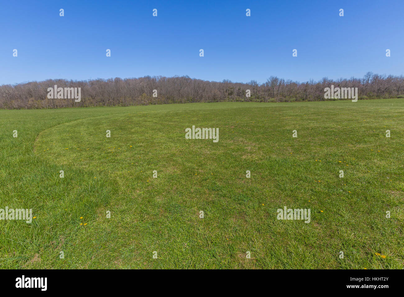 Location of a large mound, defined by cut grass, in the Hopewell Mound ...