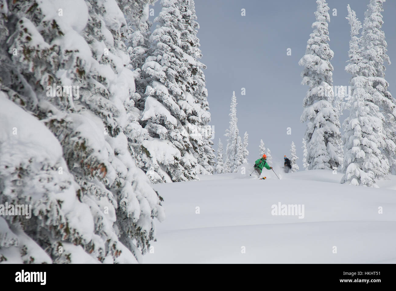 backcountry skiing in steamboat springs, colorado Stock Photo - Alamy