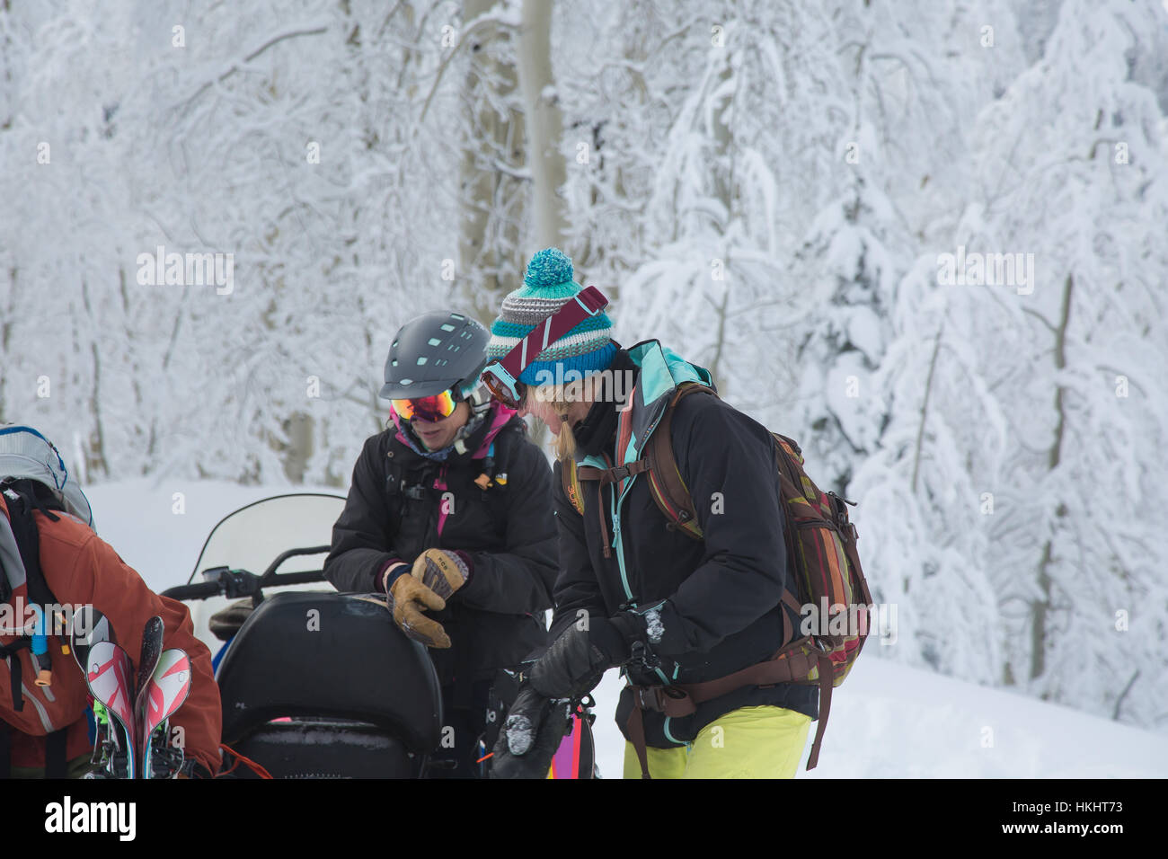 backcountry skiing in steamboat springs, colorado Stock Photo - Alamy