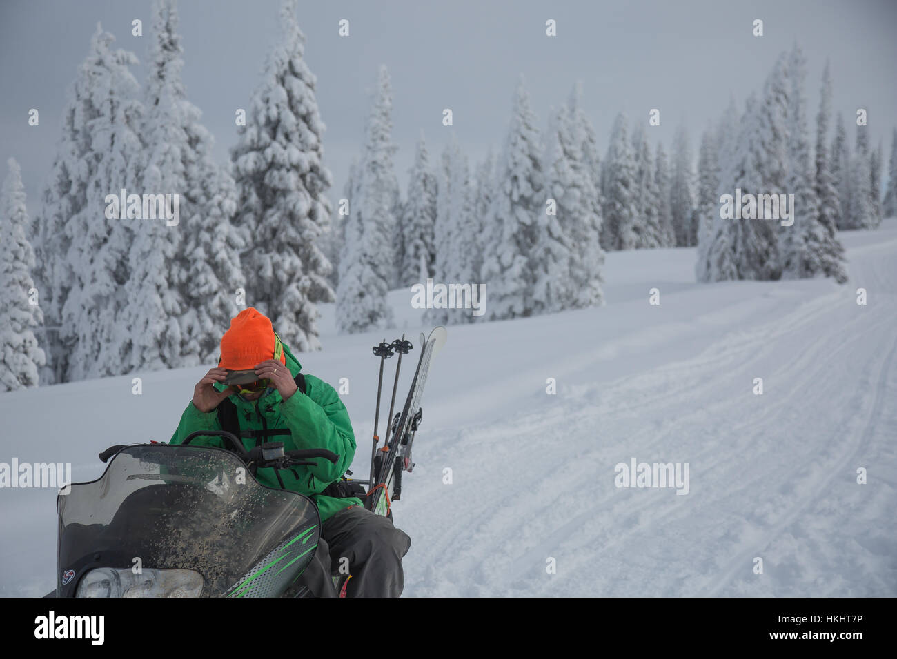 backcountry skiing in steamboat springs, colorado Stock Photo - Alamy