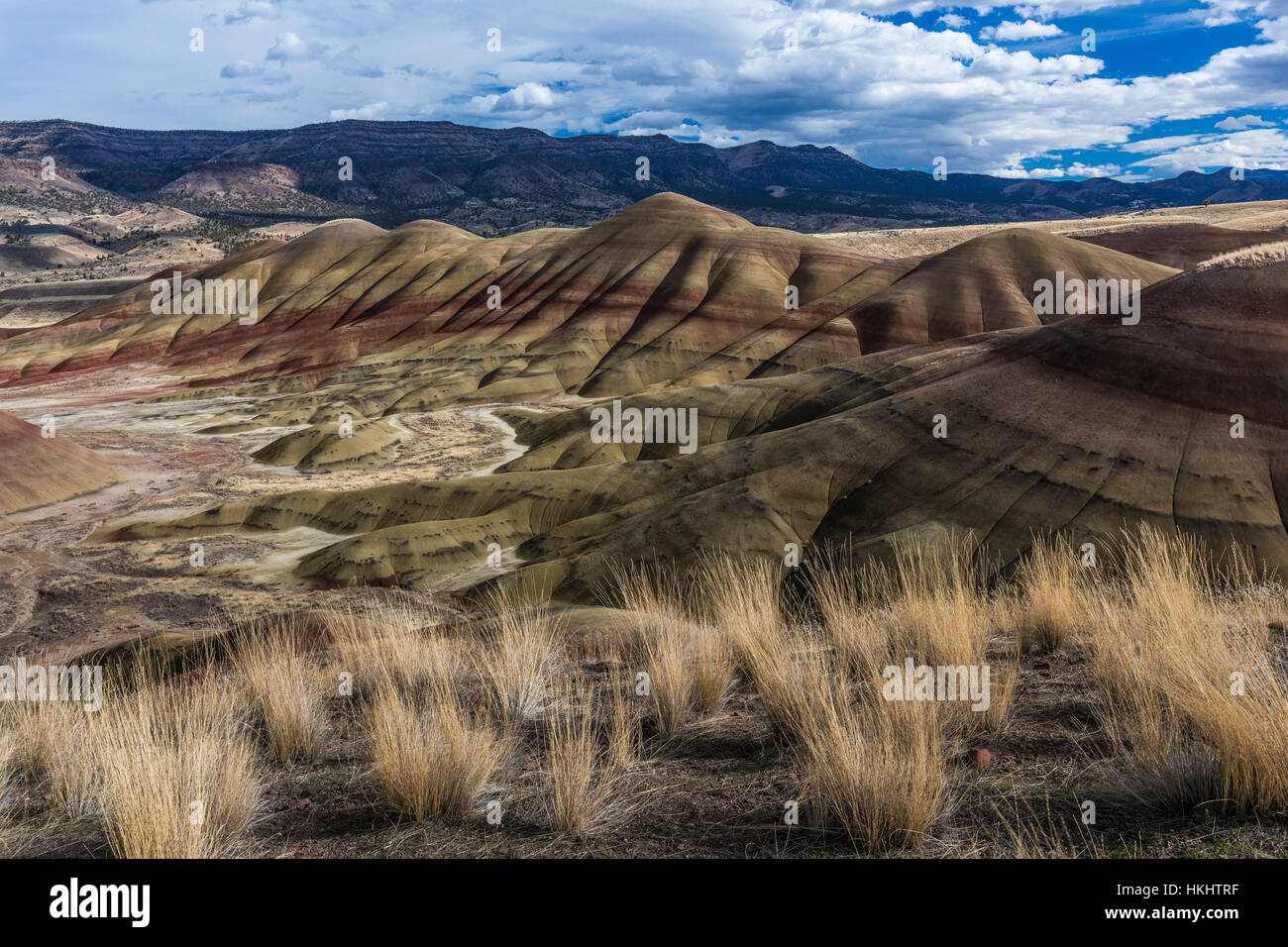 Spectacularly colored deposits of the lower John Day Formation in the ...