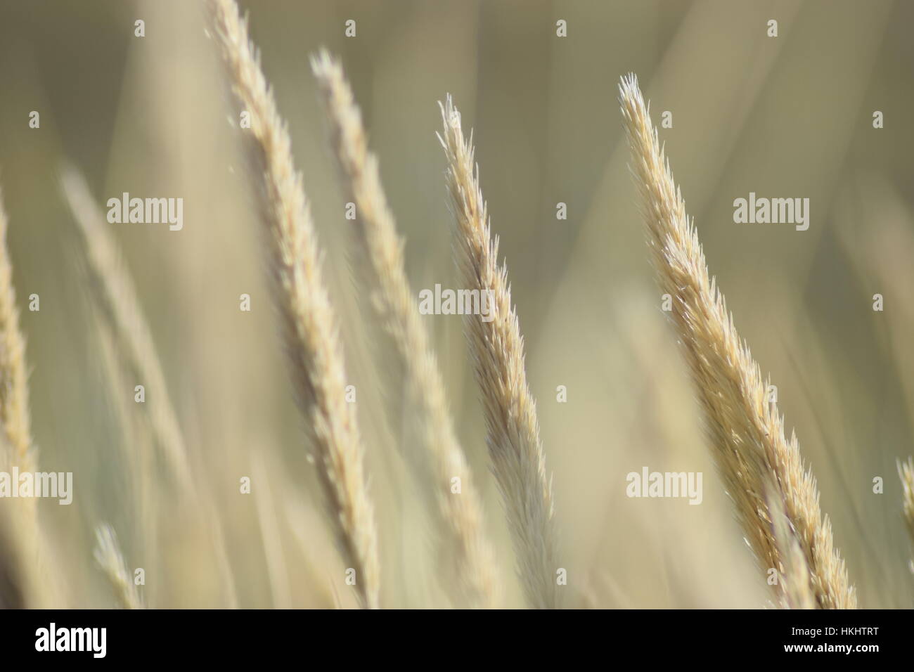 Overdrev hi-res stock photography and images - Alamy