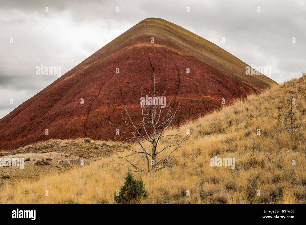 Grass scar hi-res stock photography and images - Alamy
