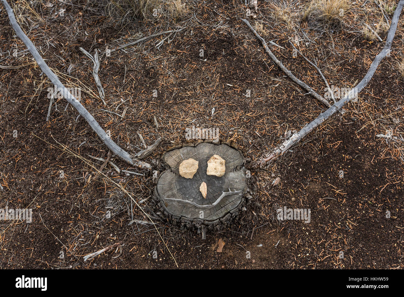 Red scar knoll trail hi-res stock photography and images - Alamy