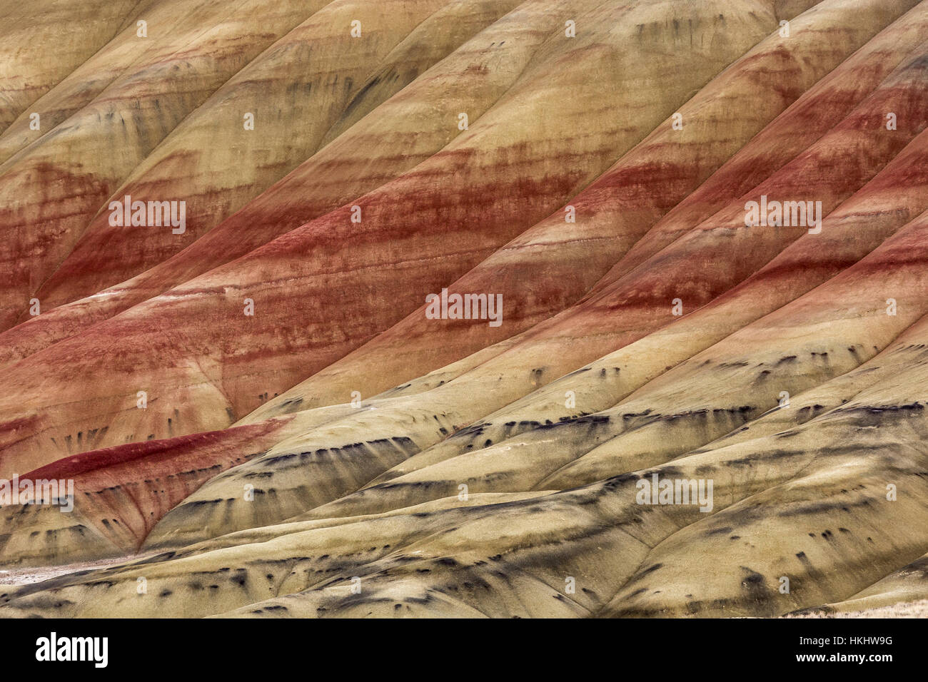 Colored deposits of Lower John Day Formation in the Painted Hills Unit ...