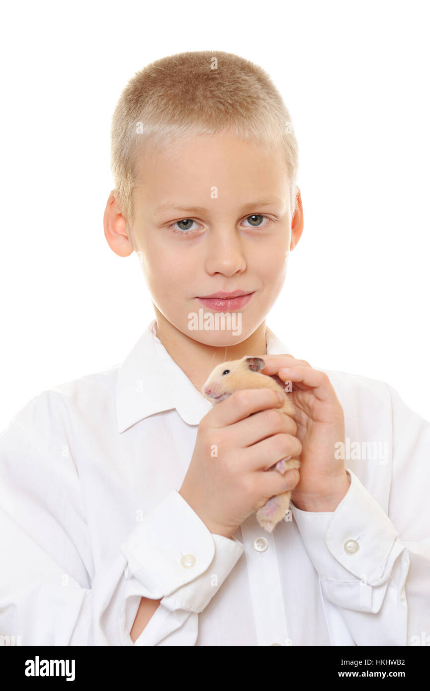 Hamster in hands hi-res stock photography and images - Alamy