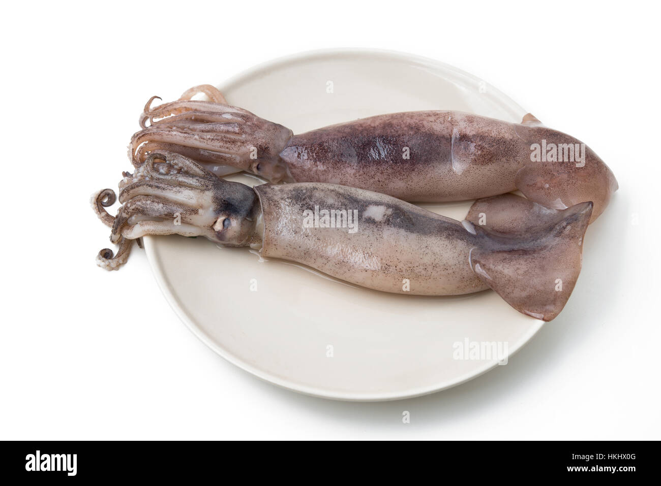 fresh squid isolated on white Stock Photo - Alamy