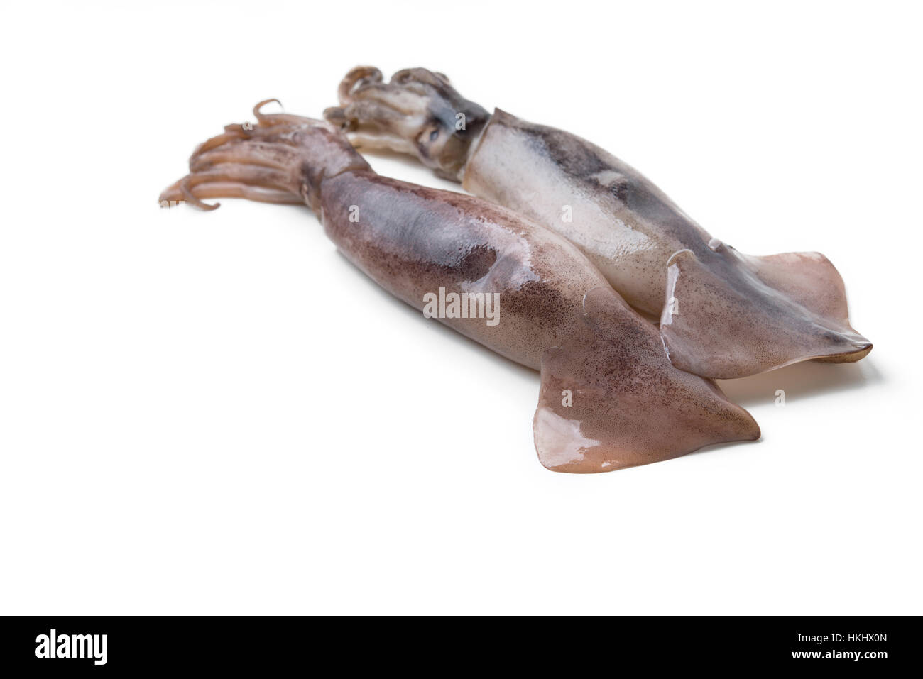 fresh squid isolated on white Stock Photo - Alamy