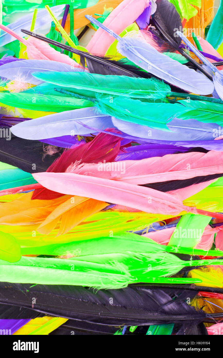 Feathers texture. Beautiful colored vibrant bird feather photo as ...