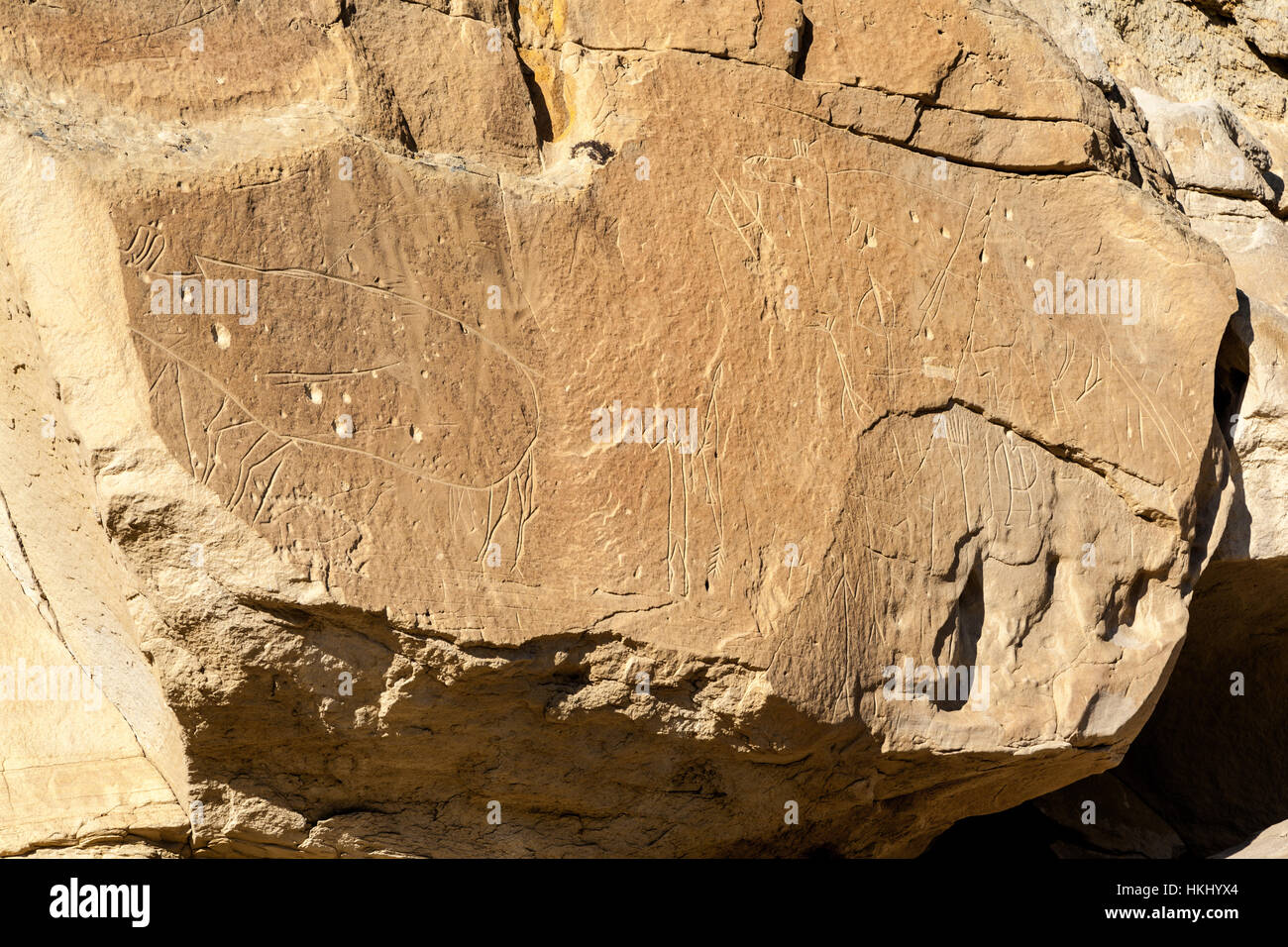 Native rock carvings at Writing-On-Stone Provincial Park and Aisinaipi ...