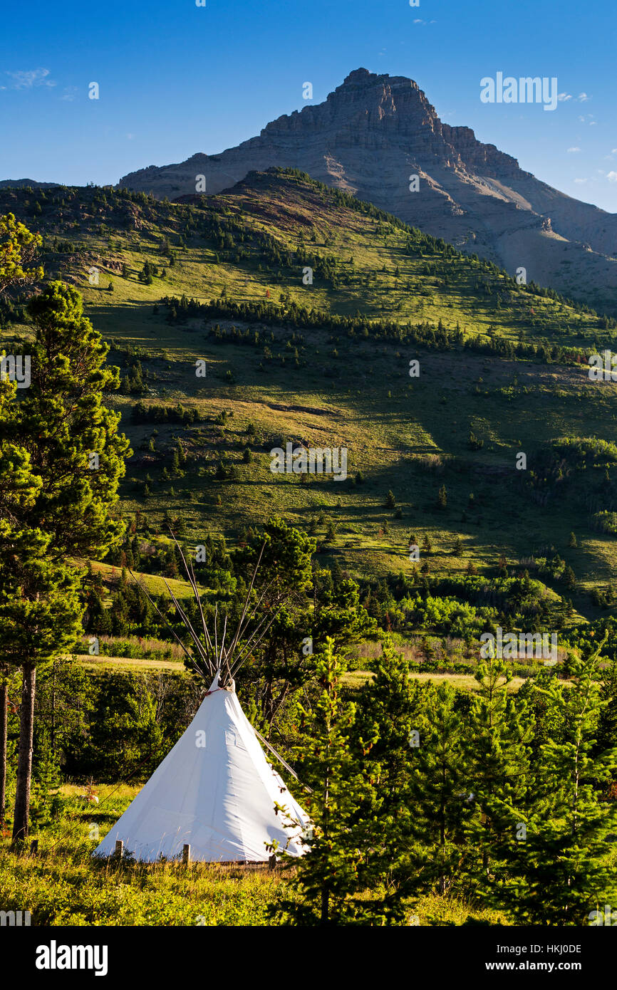 Large white canvas teepee in a treed field with green hillside and ...