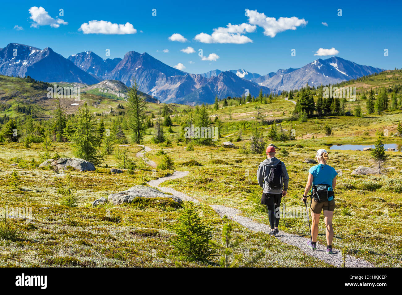 Male and female hiker walking along a meadow trail with mountain range ...