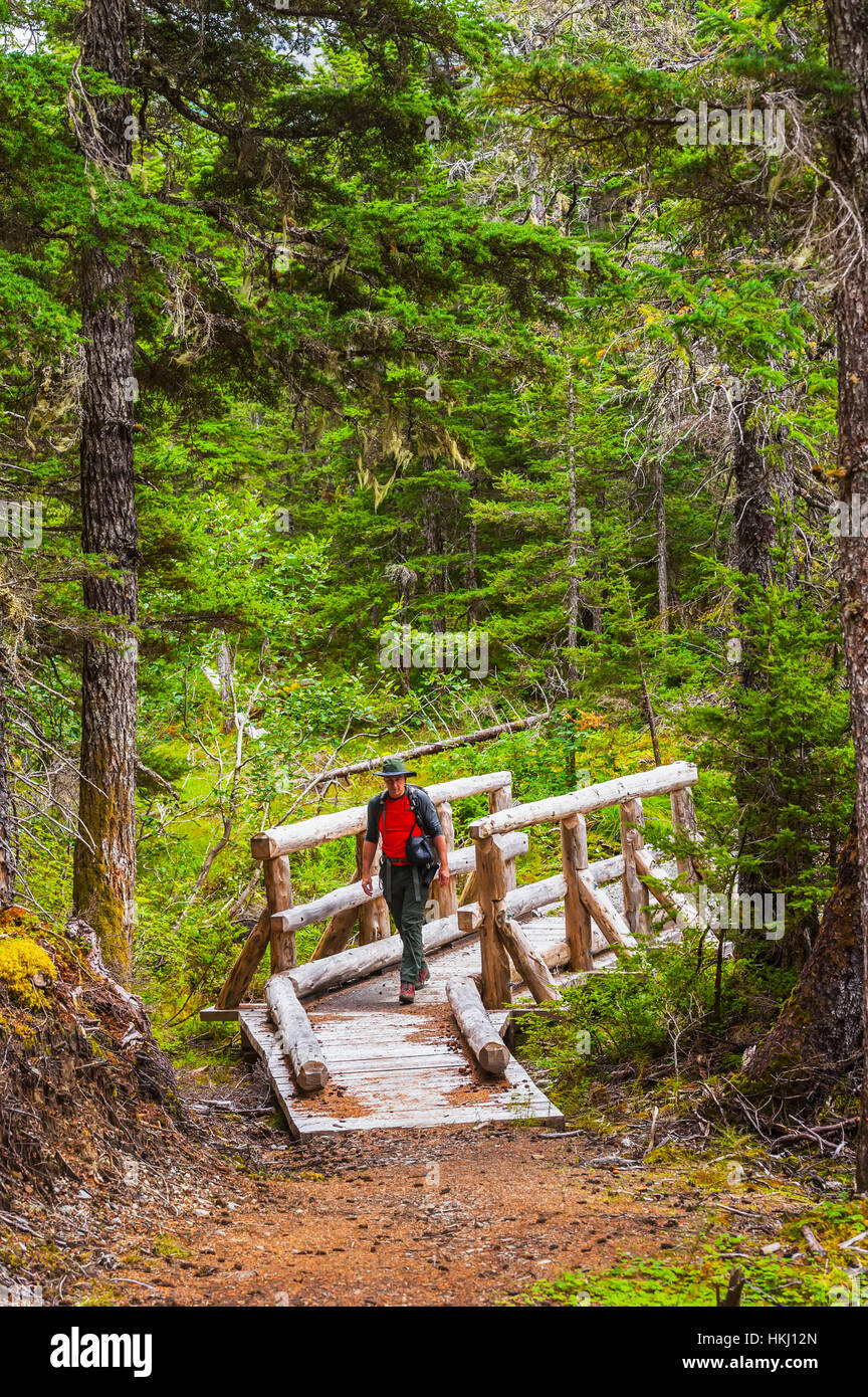 A man hiking across a log bridge on the Turnagain Pass Trail in the ...