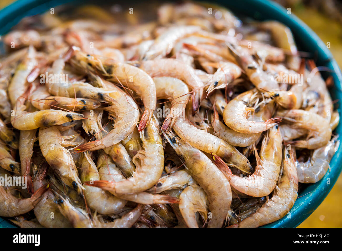 Fresh prawns for sale at Maputo's Central Market; Maputo, Mozambique ...