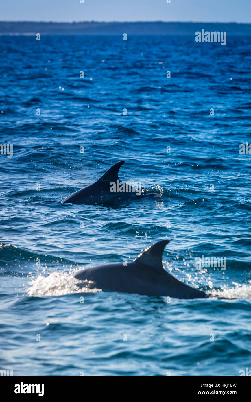 Bazaruto Archipelago National Park High Resolution Stock Photography ...
