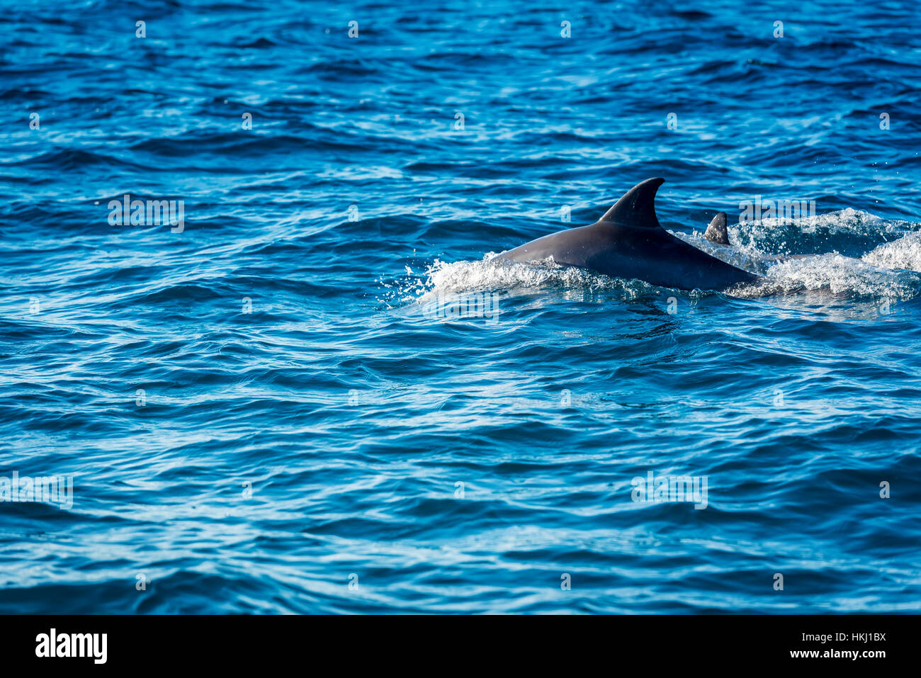 Bazaruto Archipelago National Park High Resolution Stock Photography ...