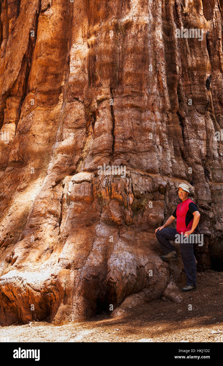 Giant tree man standing in hi-res stock photography and images - Alamy