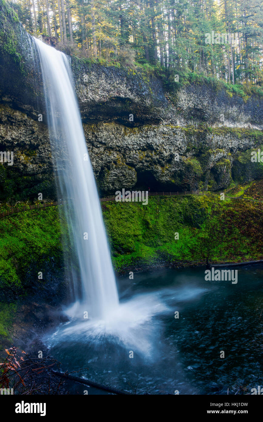 South Falls plunges over the cliffs at Silver Falls State Park ...