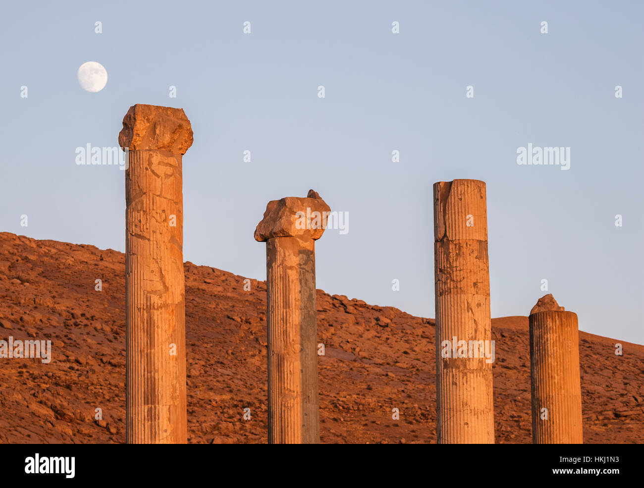 Columns of the Apadana or Audience Hall of Darius I (522-486 ...