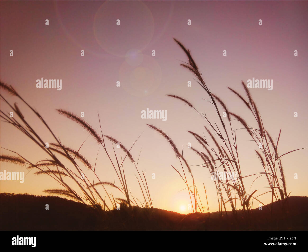 Abstract nature background with meadow and sunset, vintage tone with ...