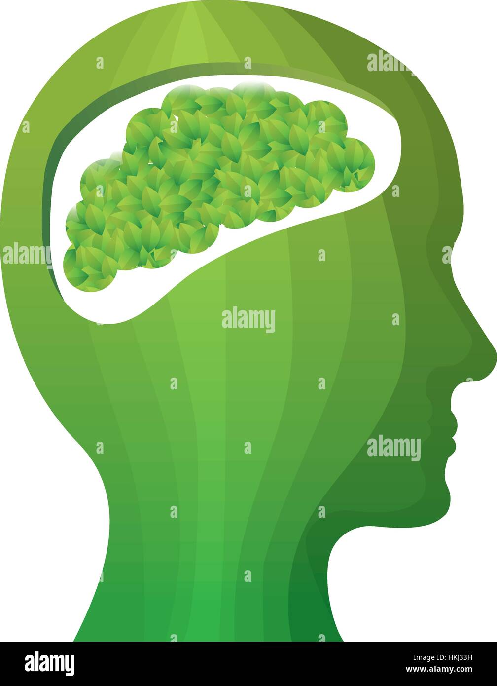 Green brain with many leaves image, vector illustration icon Stock ...