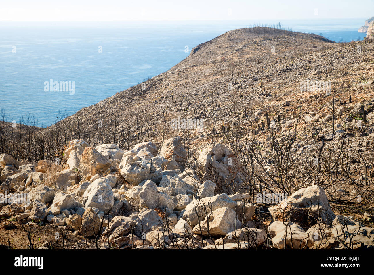 Aftermath of the devastating forest fire that destroyed a Mediterranean ...